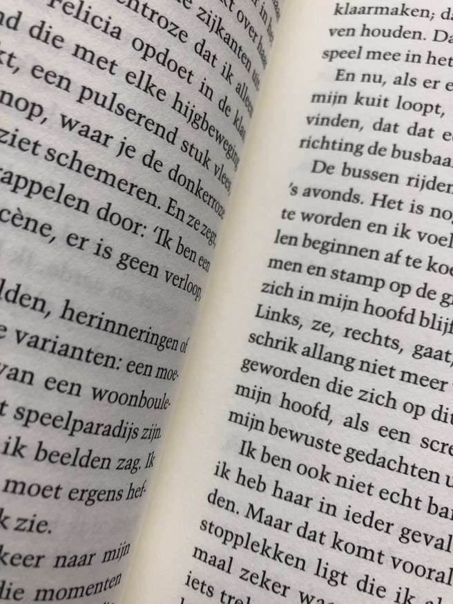 Recensie: “Raaf” van Roos Vlogman – Writings by Amelie